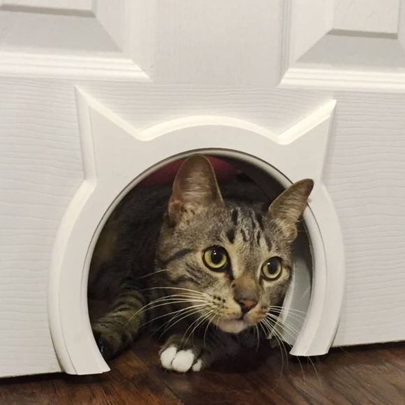 kitty pass | Cat | Kitty Pass Cat Door Opening | Poshmark